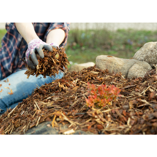 Mulch: een natuurlijke manier om onkruid te bestrijden - Roundup Tuin
